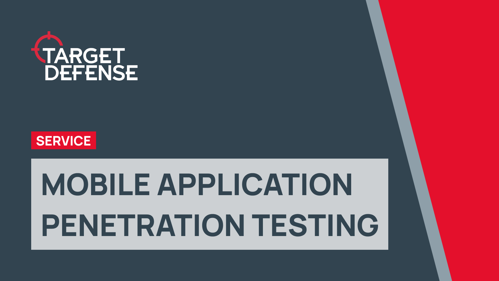 Mobile Application Penetration Testing Services Target Defense